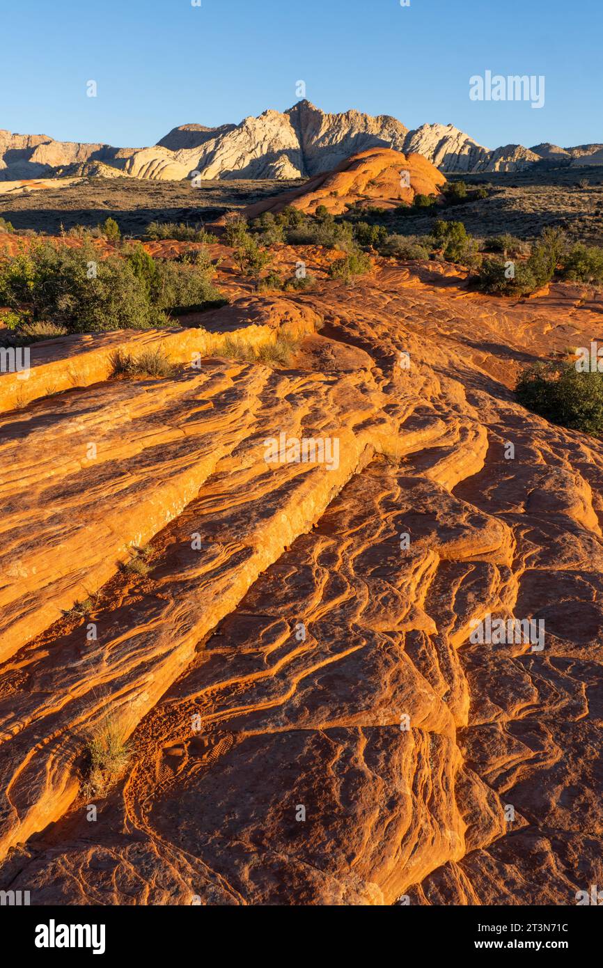 Views of the Navajo sandstone formations called the White Rocks from ...