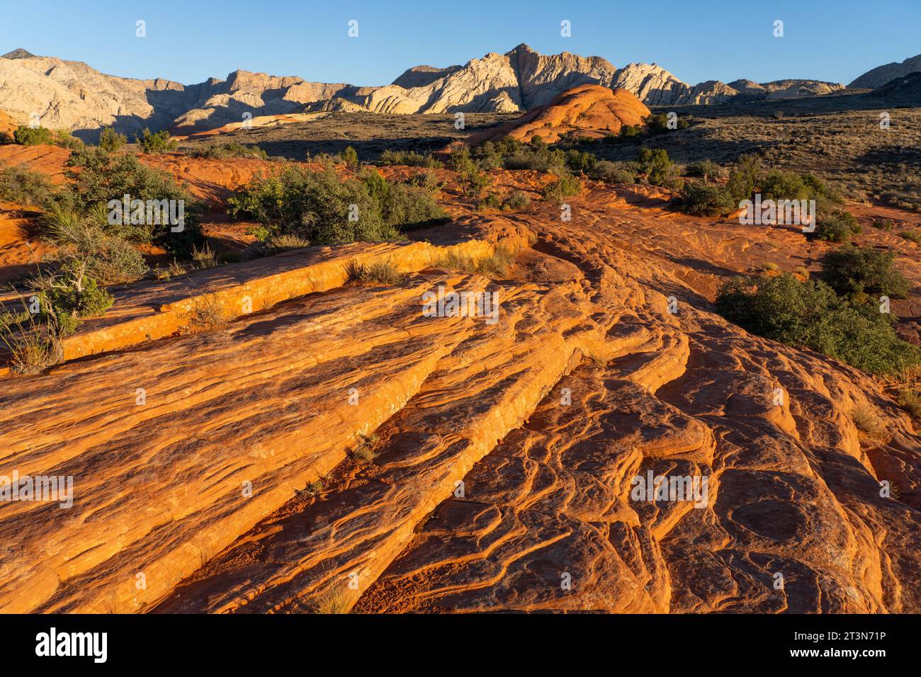 Views of the Navajo sandstone formations called the White Rocks from ...