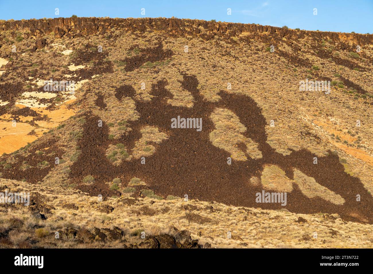 Volcanic basalt boulder fields create patterns on Navajo sandstone ...