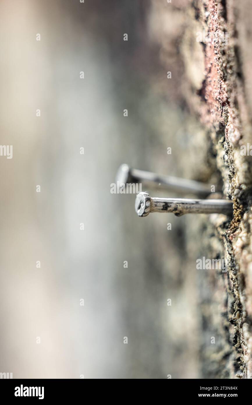 On the cement wall, there are a pair of rusty nails that appear to have ...
