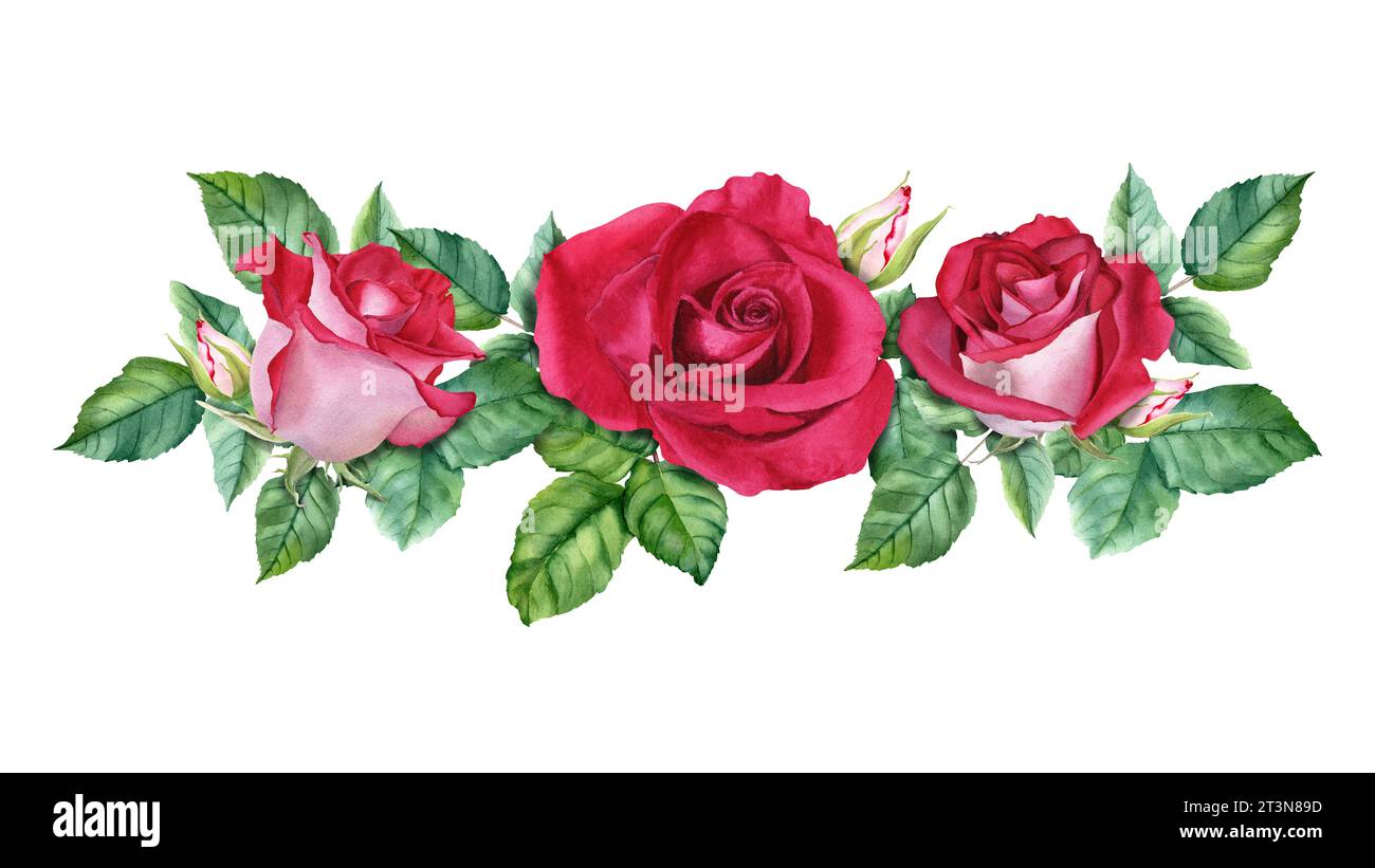 A composition, garland with Luxor Roses blooms buds and leaves ...