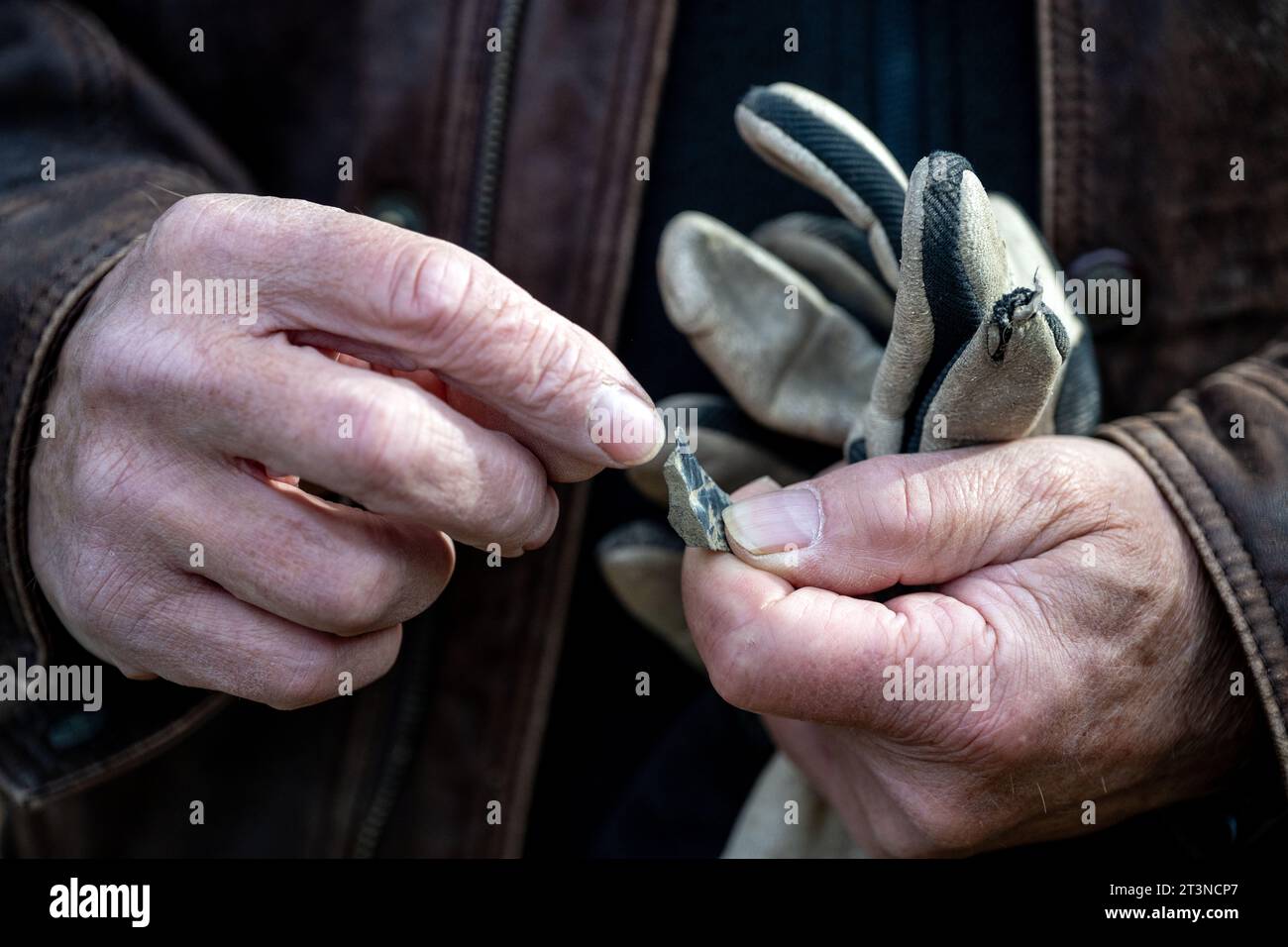 Friesen, Germany. 18th Oct, 2023. A man holds an approximately 6,000 ...