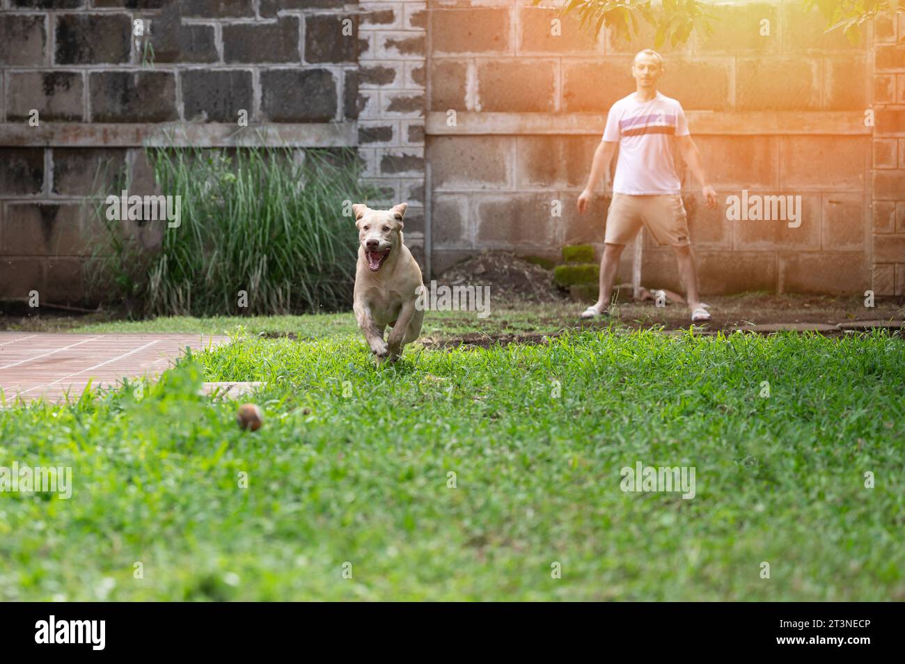 Outside with dog hi-res stock photography and images - Alamy