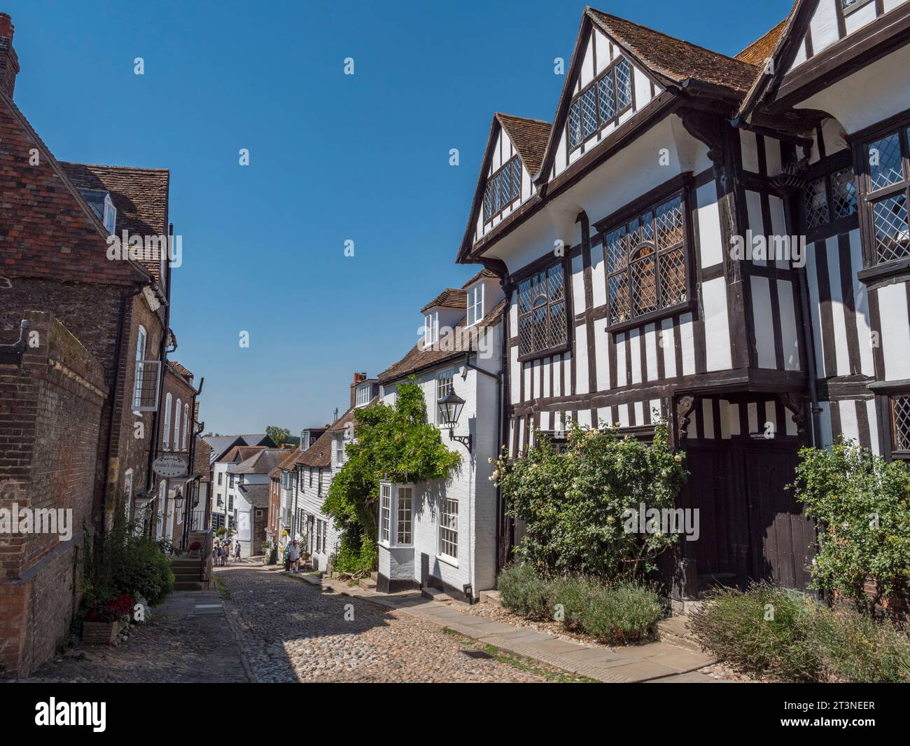 Mermaid st hi-res stock photography and images - Alamy