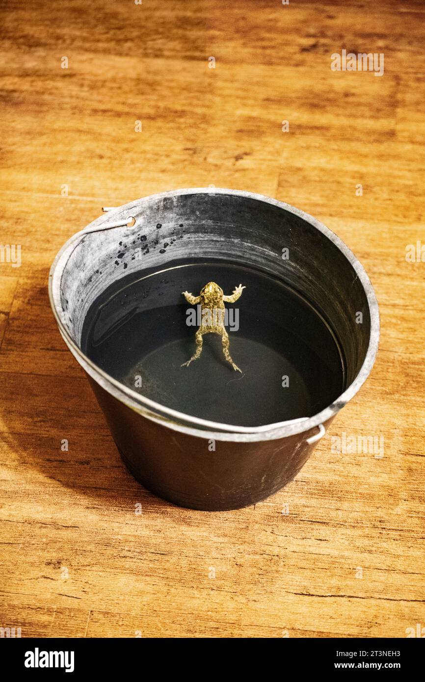 Edge image inside view hi-res stock photography and images - Alamy