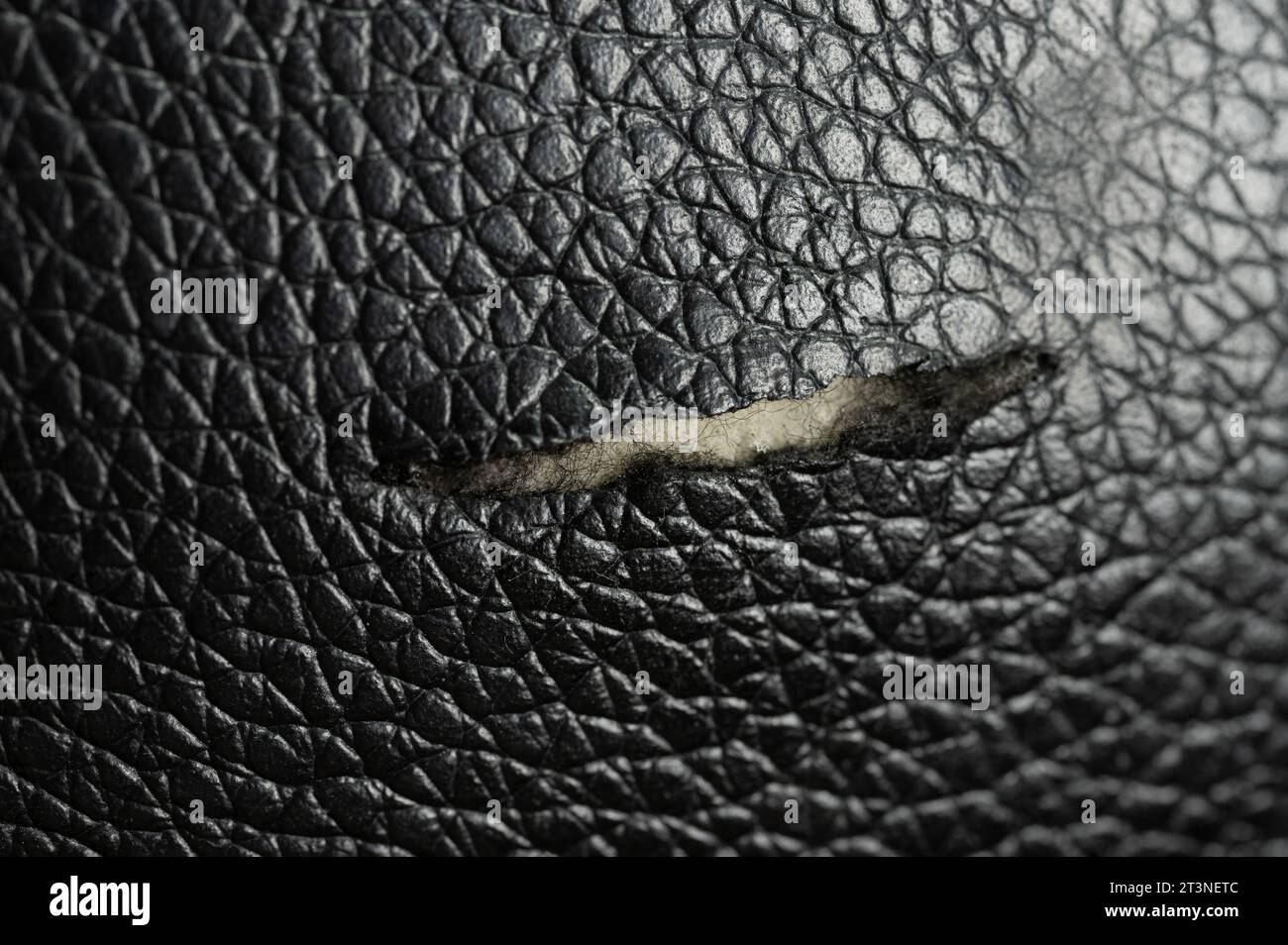 Torn leather sofa hi-res stock photography and images - Alamy