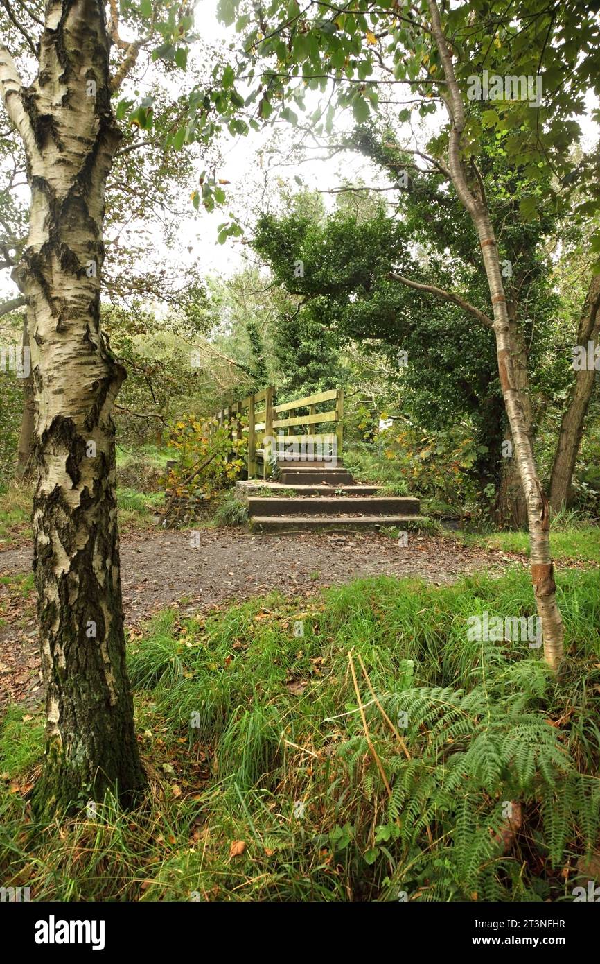 Wooden footbridge over the River Neb near Glenfaba, Peel, Isle of Man ...