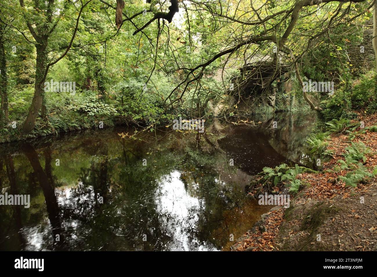 The River Neb near Glenfaba, Peel, Isle of Man, habitat for numerous ...