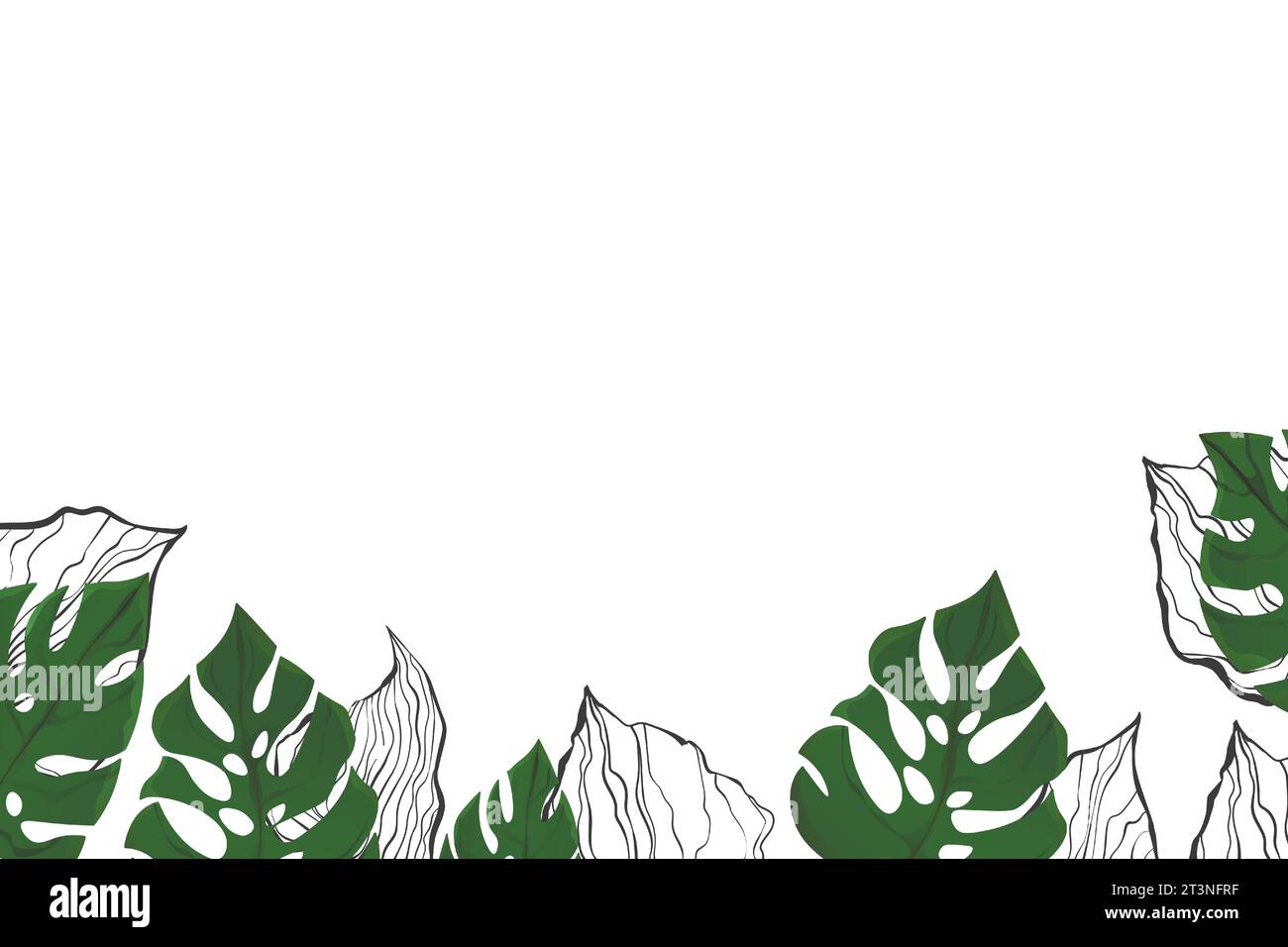 Floral frame with colorful exotic branches on white background. Ornate ...