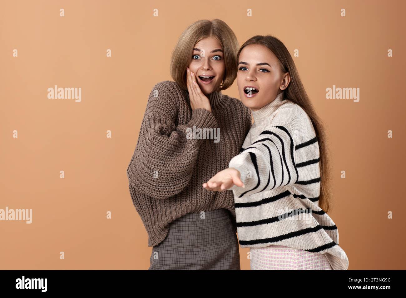 Two cheerful attractive women friends talking together Stock Photo - Alamy