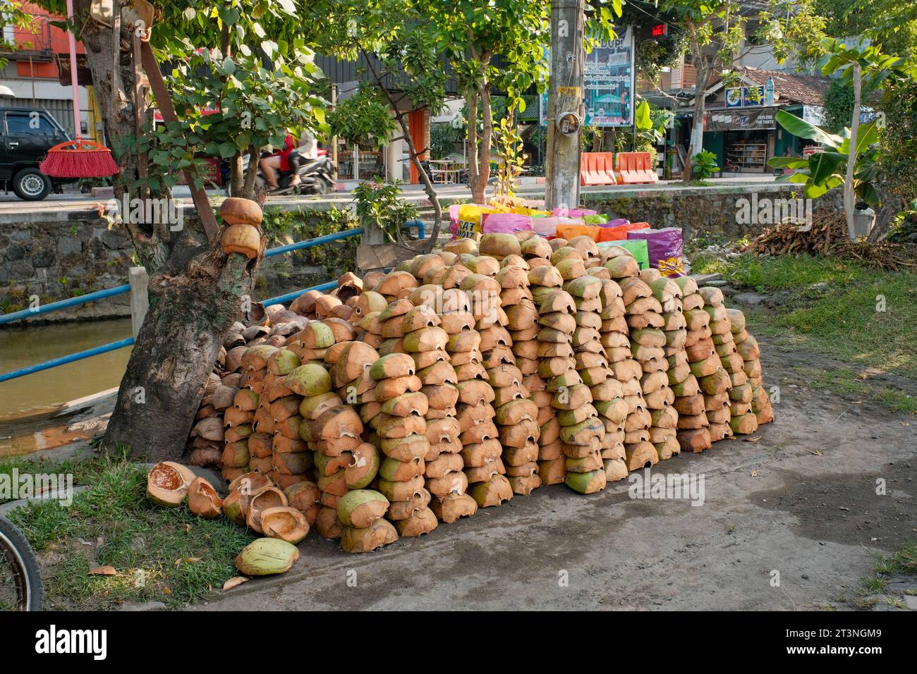 Behold the abundance of Indonesia in this stack of coconuts, a ...