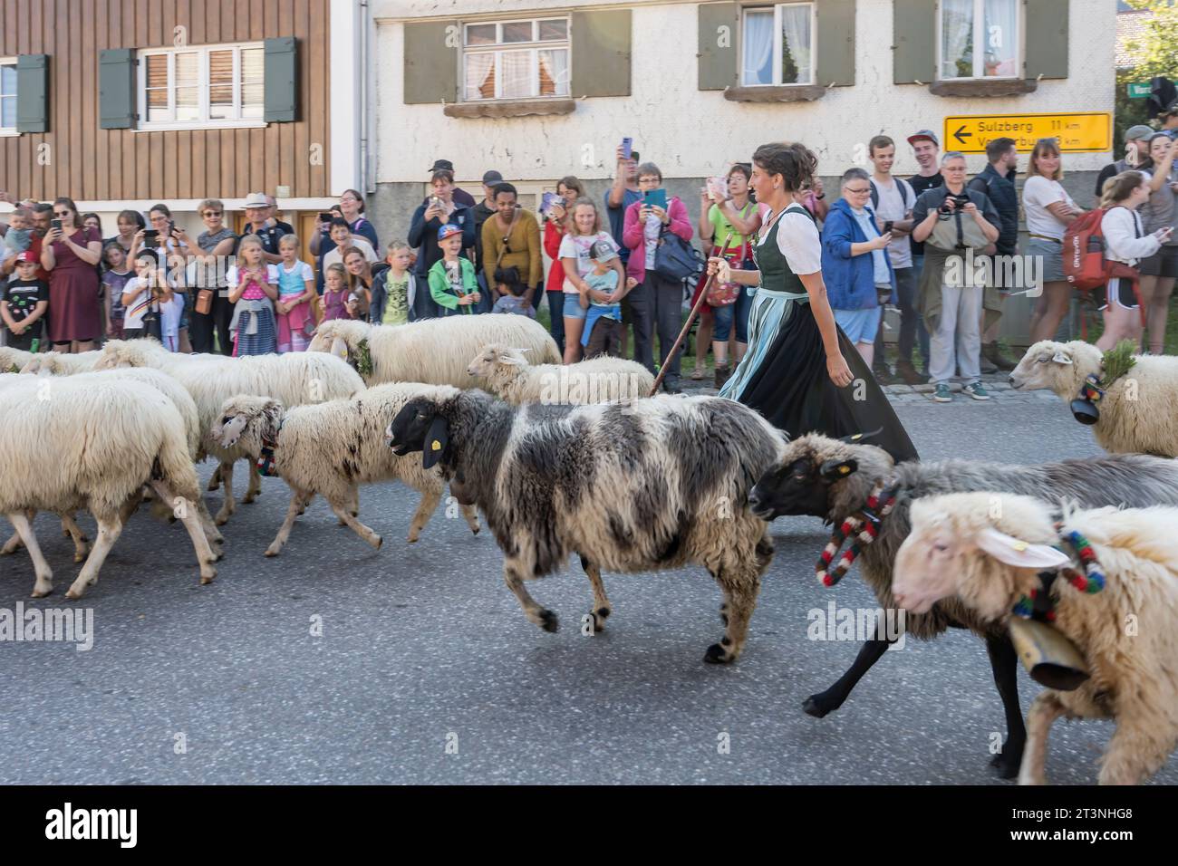 RETTENBERG, 2023 sept 8, woman herdsman in traditional suit walks with ...