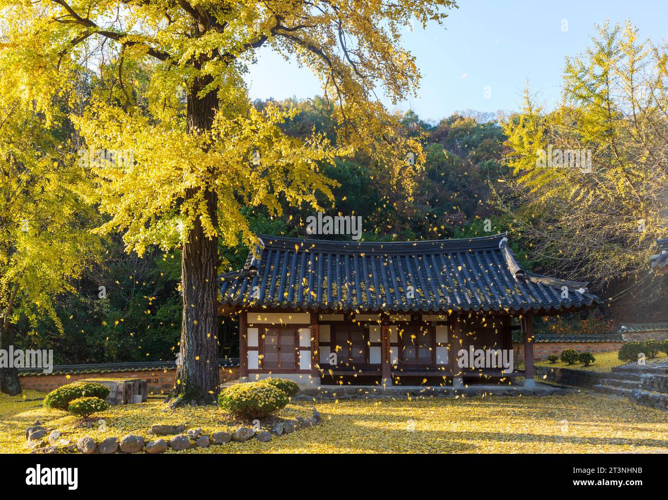 Korean traditional house hi-res stock photography and images - Alamy