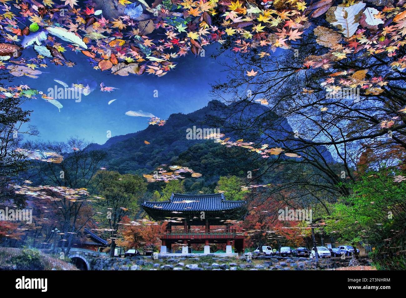 Maple forest valley hi-res stock photography and images - Alamy