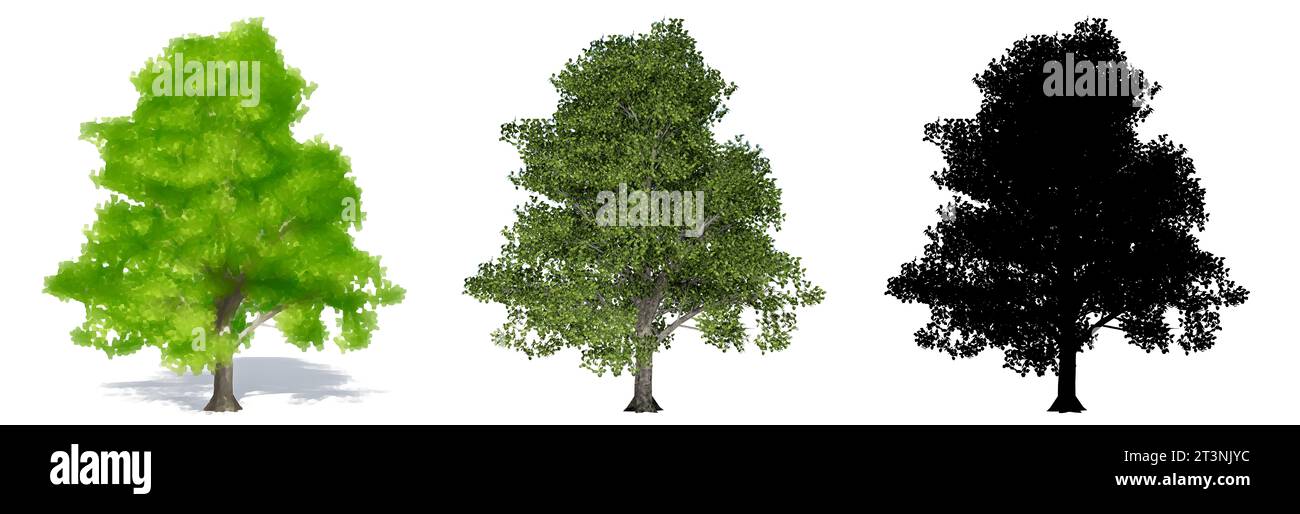 Set or collection of Granny Smith trees, painted, natural and as a ...