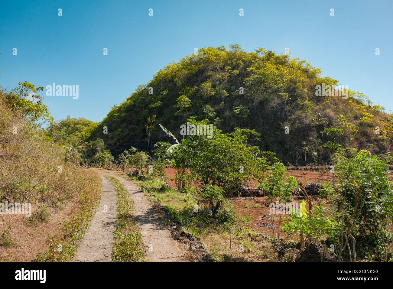 Take a stroll along this serene Indonesian path, embraced by rolling ...