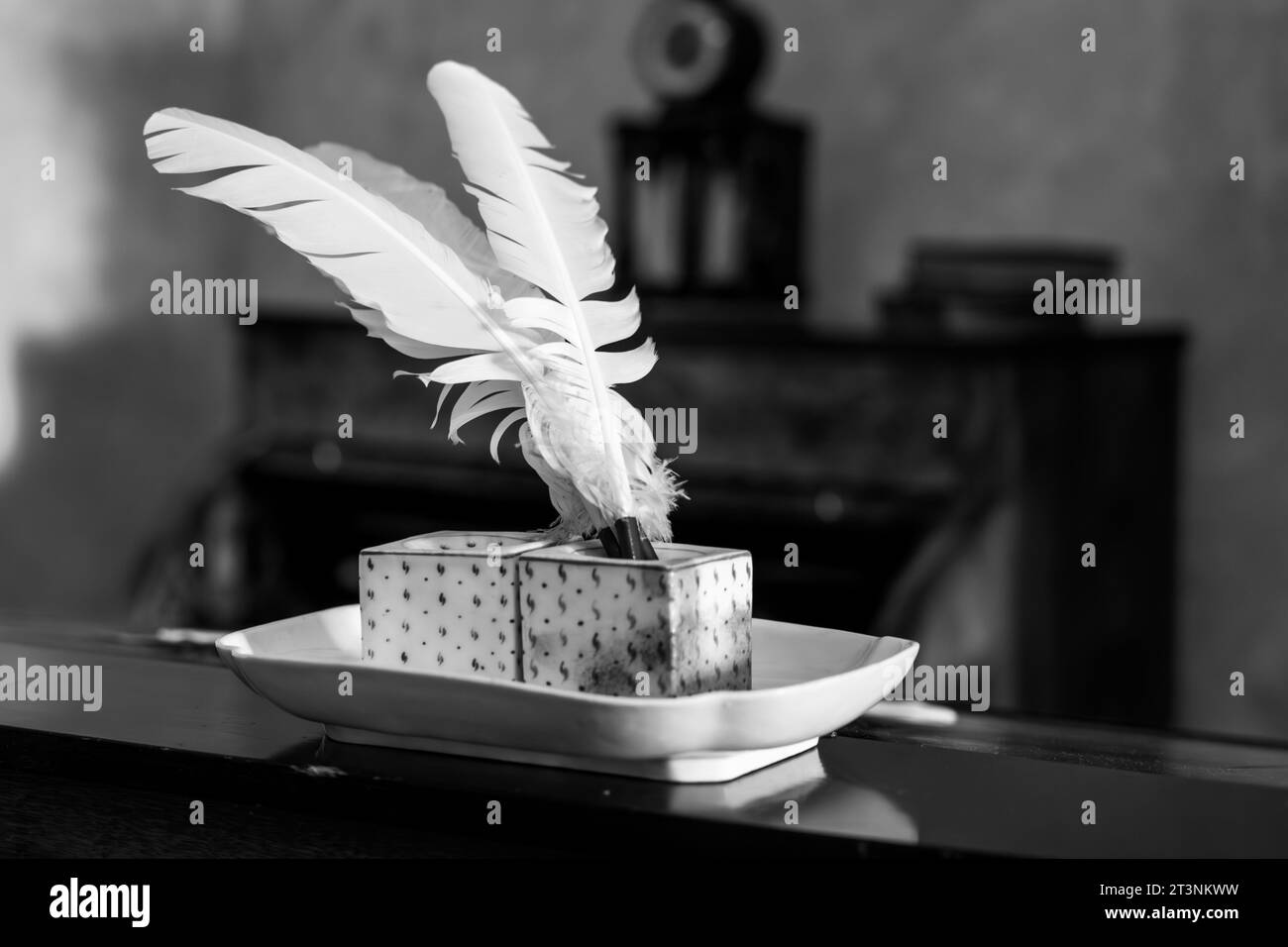 Vintage inkwell with feather pen on the wooden shelf. Black and white ...