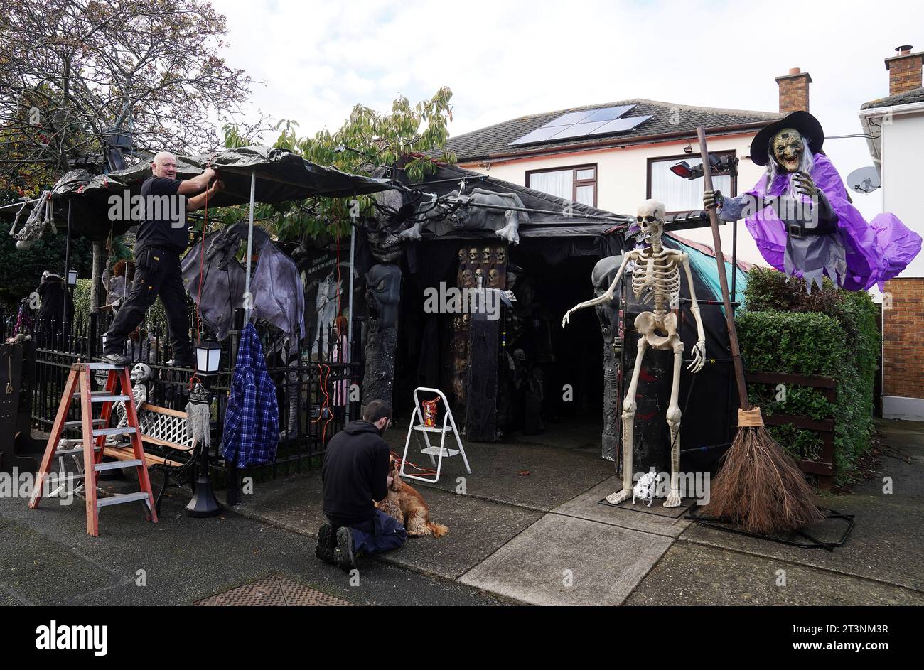 Eb skin hi-res stock photography and images - Alamy