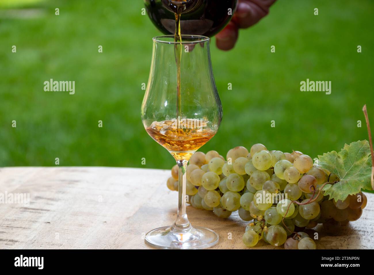 Outdoor tasting of Cognac strong alcohol drink in Cognac region ...