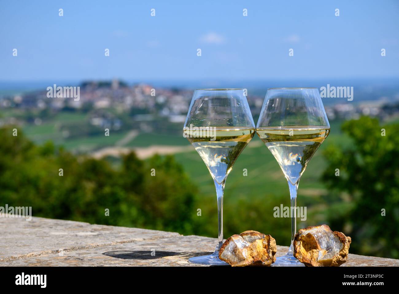 Glasses of white wine from vineyards of Sancerre Chavignol appelation ...