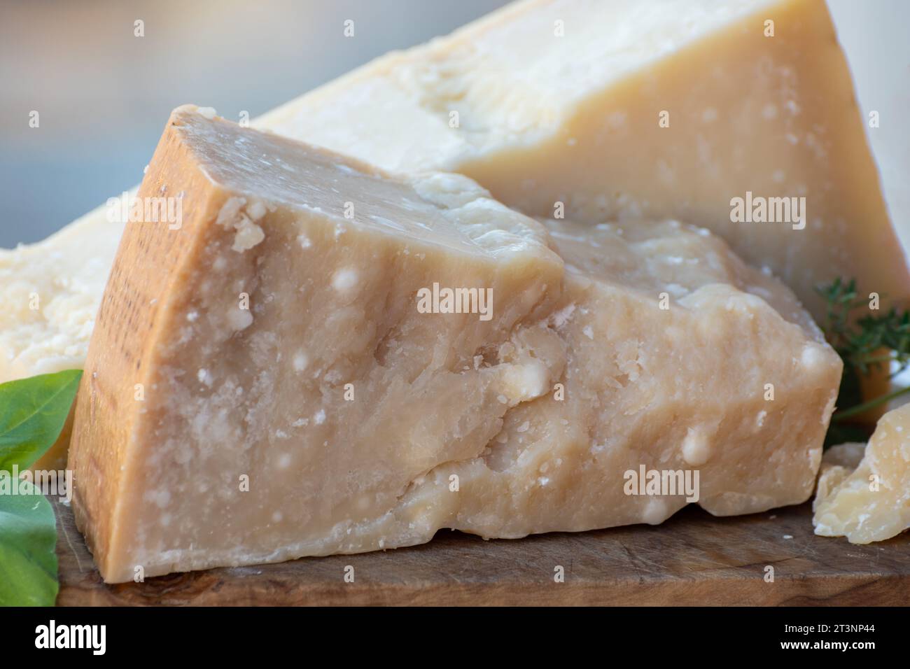 Traditional italian food - 36 months aged in caves Italian parmesan ...