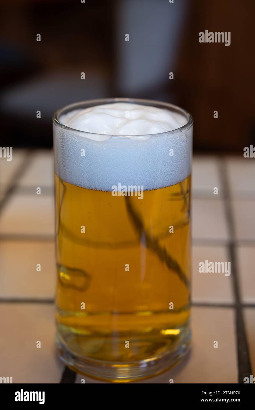 Freshly brewed light pils German beer in craft brewery served in beer ...