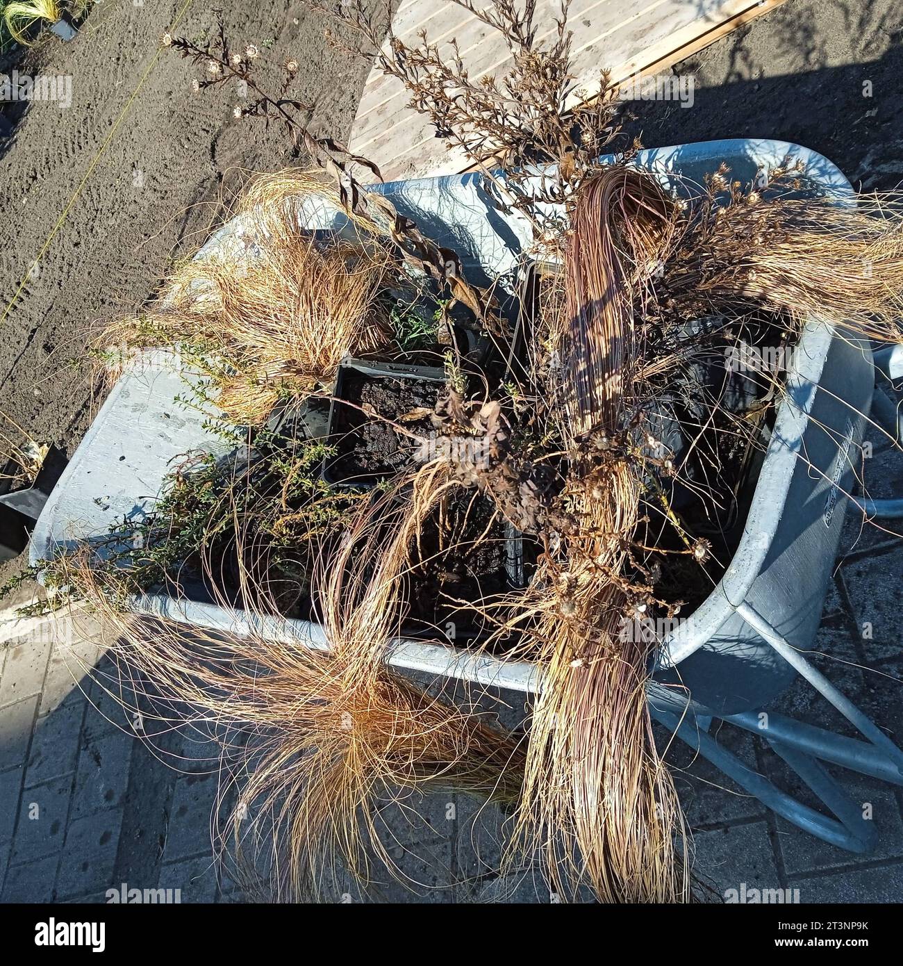 Masse der erde hi-res stock photography and images - Alamy