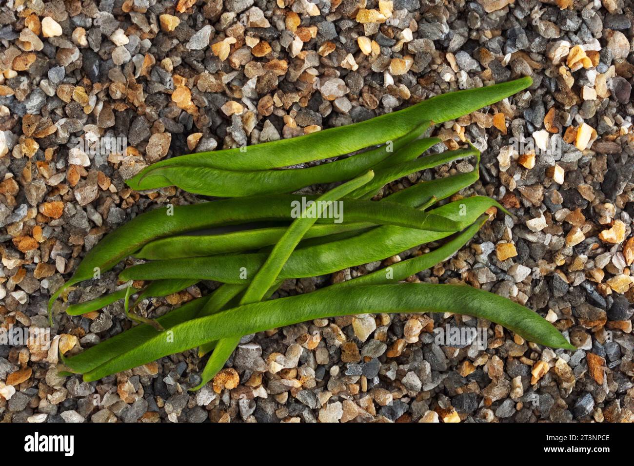 Friendy garden hi-res stock photography and images - Alamy
