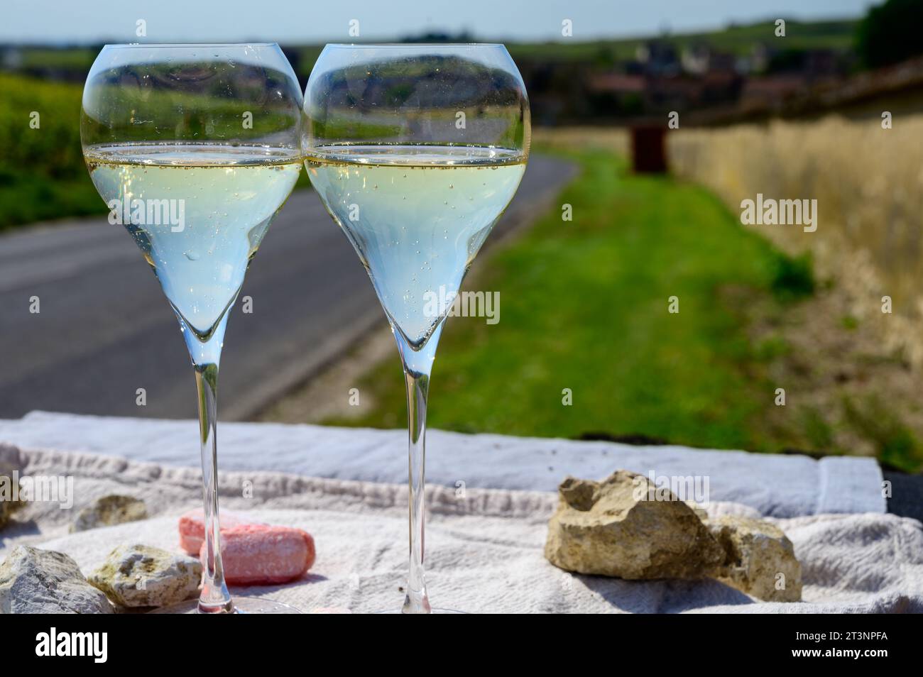 Tasting of grand cru sparkling white wine with bubbles champagne with ...