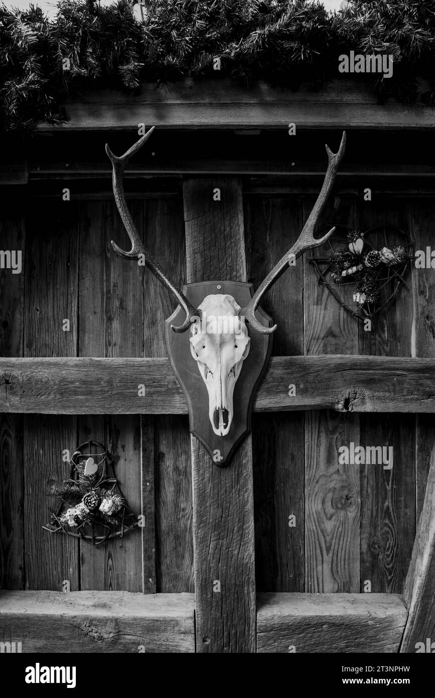 Skull centerpiece Black and White Stock Photos & Images - Alamy