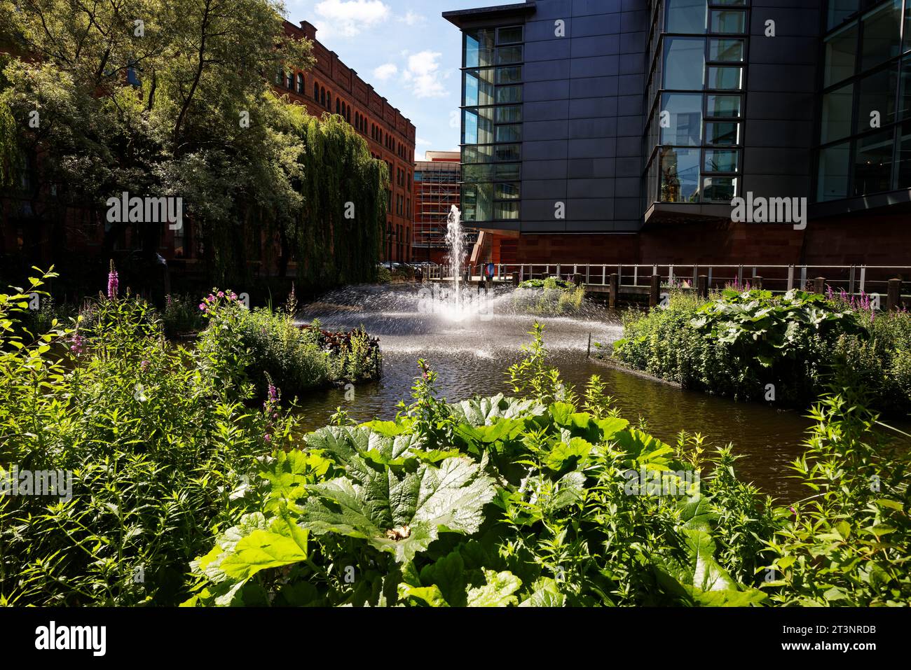 Bridgewater hall basin hi-res stock photography and images - Alamy