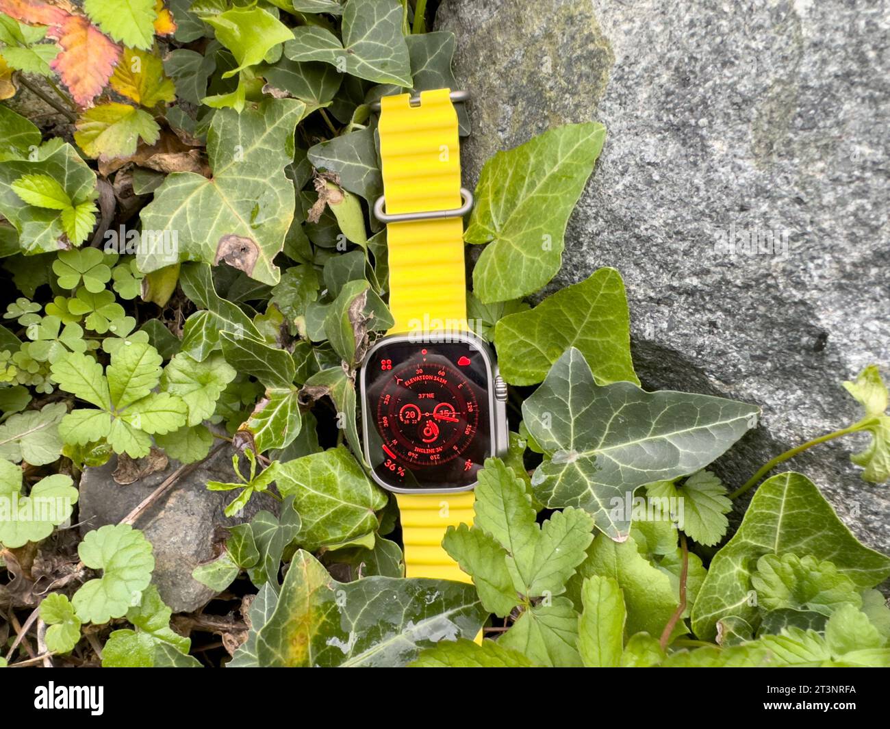 Wearables sport hi-res stock photography and images - Alamy