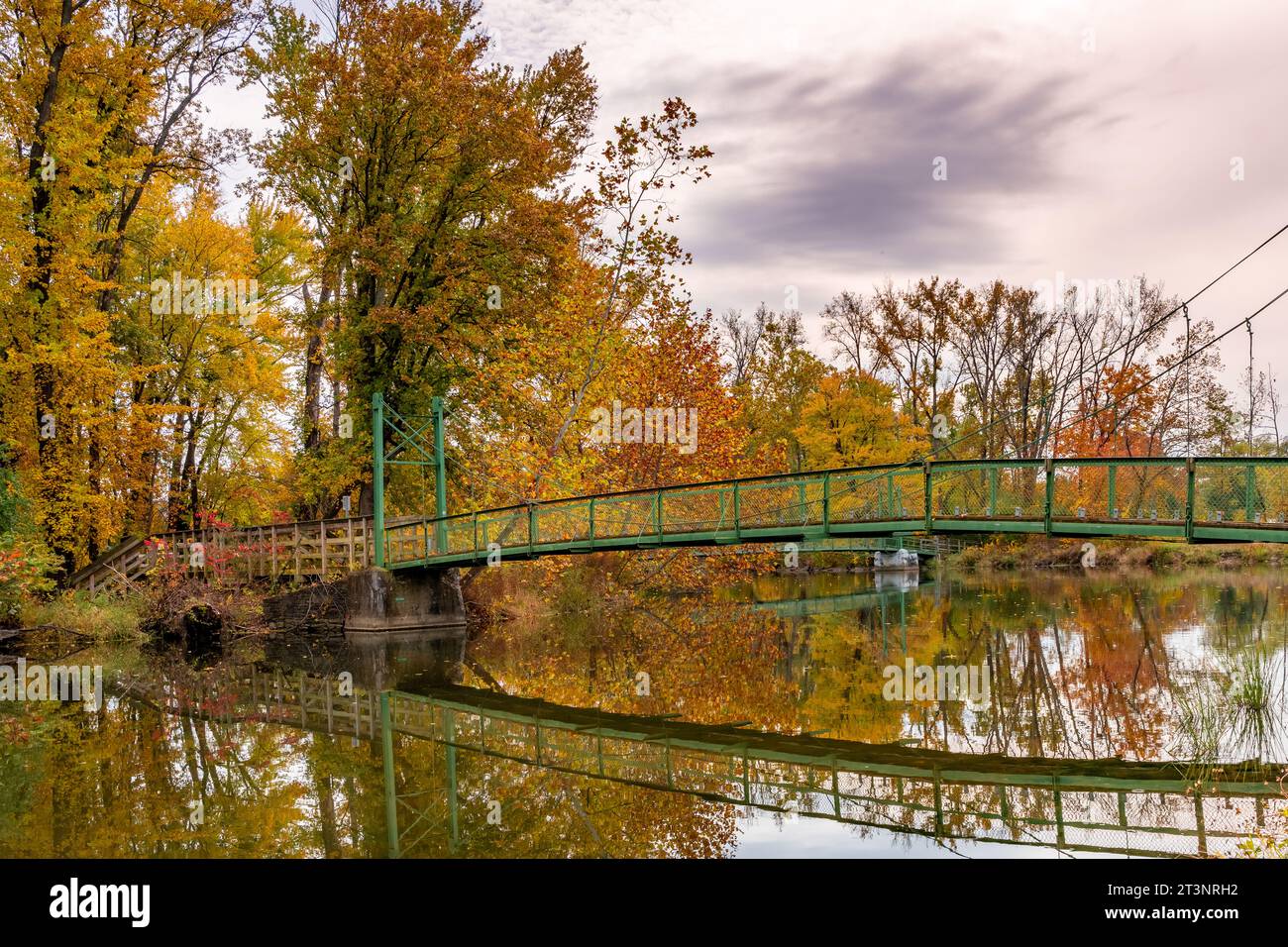 Fall, autumn, photo of the green suspension bridge with trees and ...