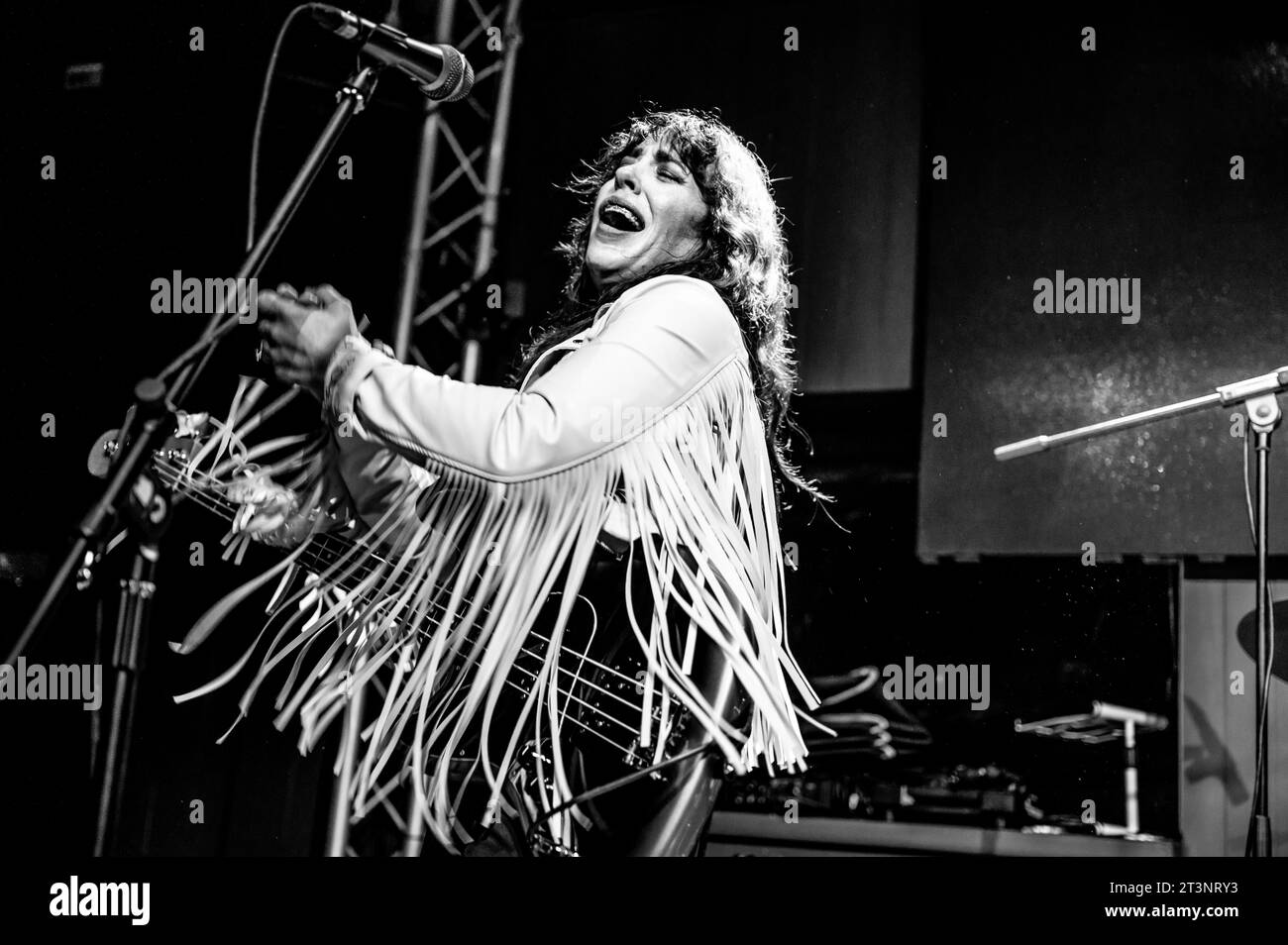 Danielle Nicole Band Stock Photo - Alamy