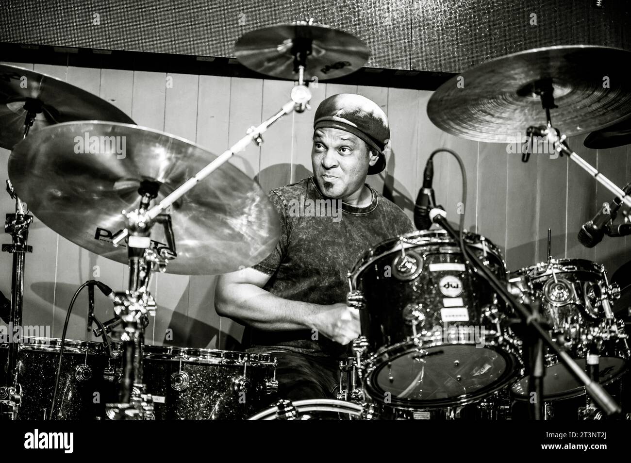 Danielle Nicole Band Stock Photo - Alamy