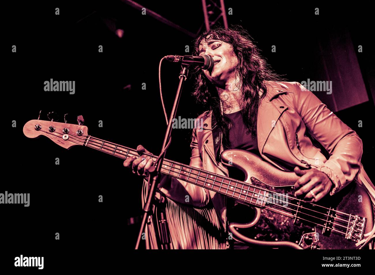 Danielle Nicole Band Stock Photo - Alamy