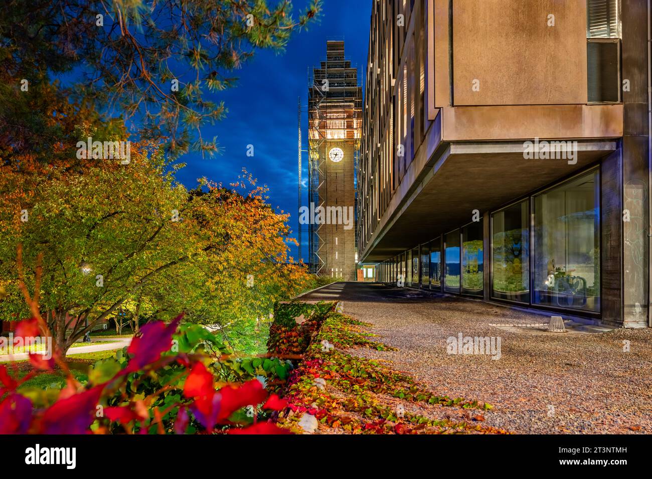 Ithaca, New York, US - October 25, 2023: Night photo of McGraw clock ...