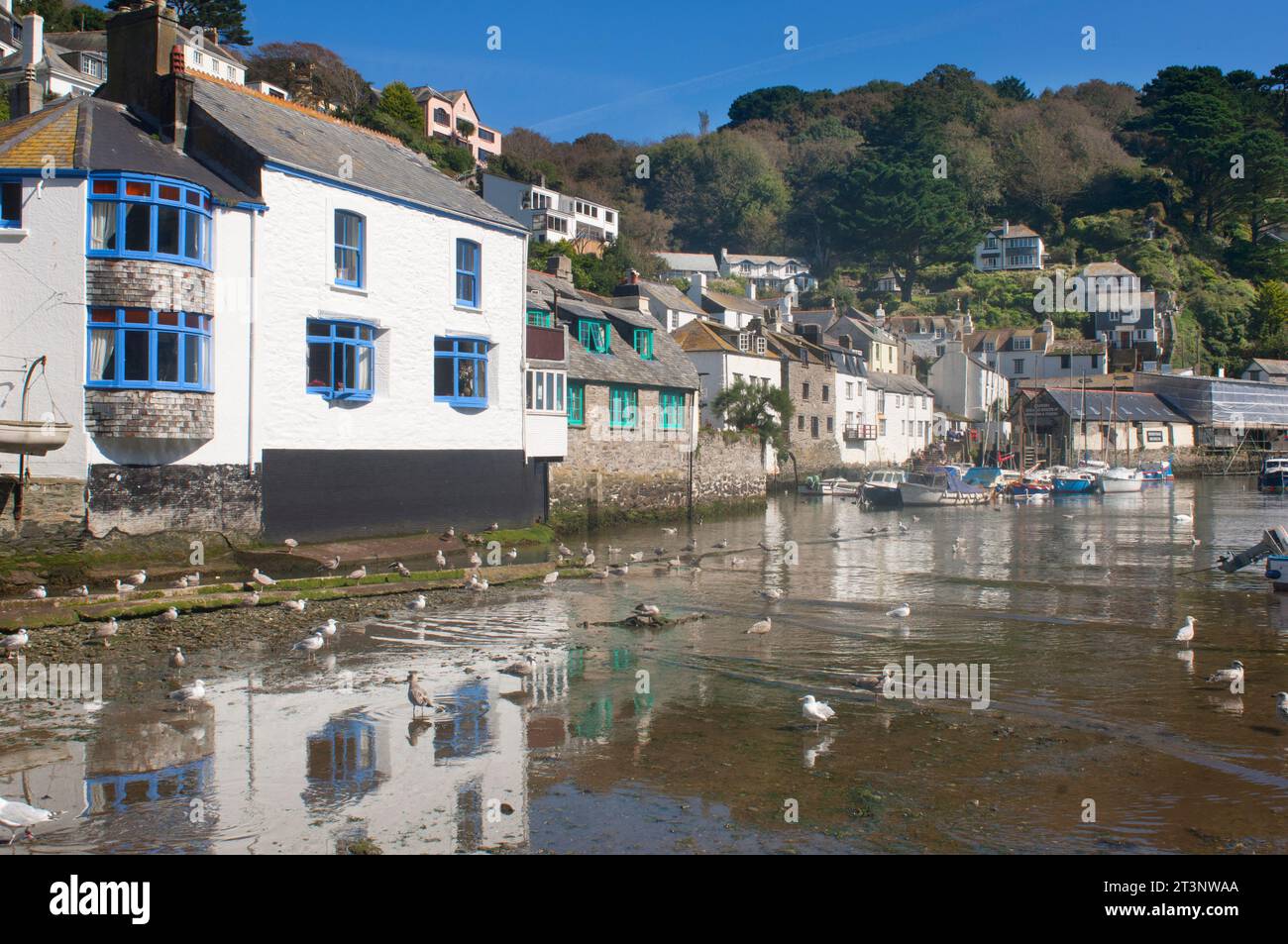 The harbour at Polperro, Cornwall, UK - John Gollop Stock Photo - Alamy