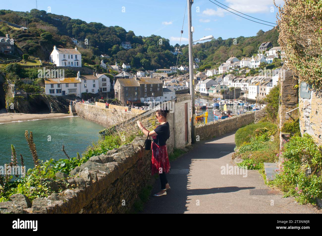 Female tourist photographing the harbour at Polperro, Cornwall, UK ...