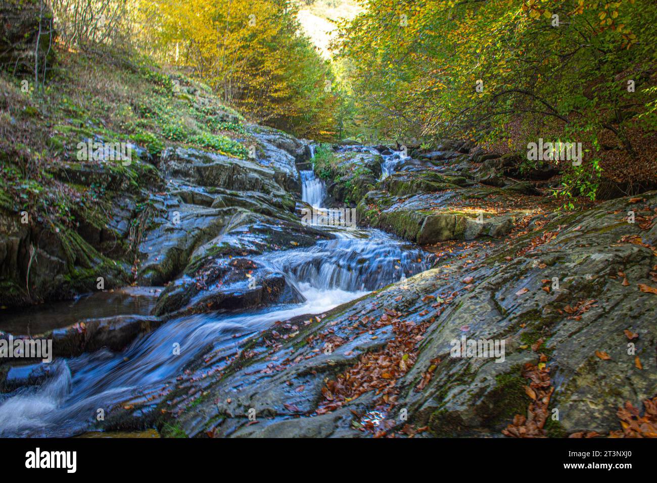 Autumn landscape with a waterfall and colorful leaves on the rocks ...
