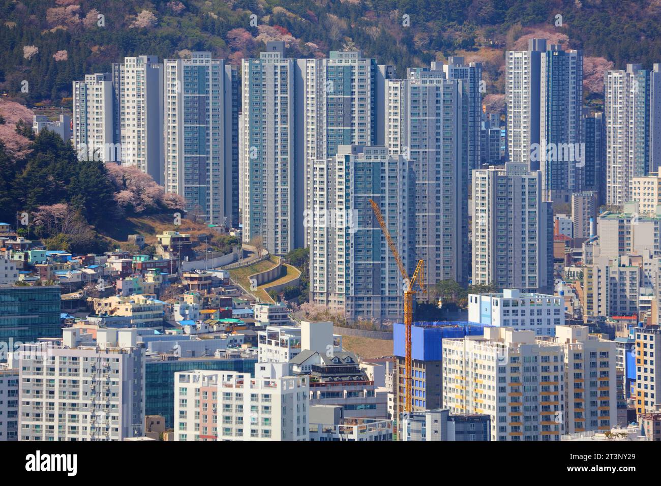 Seodaesin district (Seodaesin-dong) in Seo-gu ward of Busan city, South ...