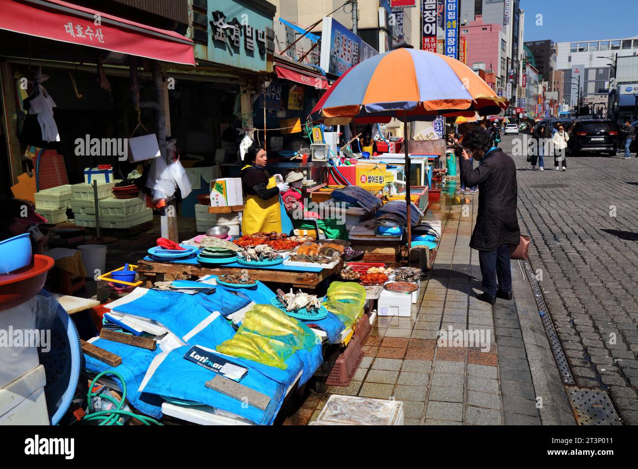 BUSAN, SOUTH KOREA - MARCH 27, 2023: Vendors sell fish and sea food at ...