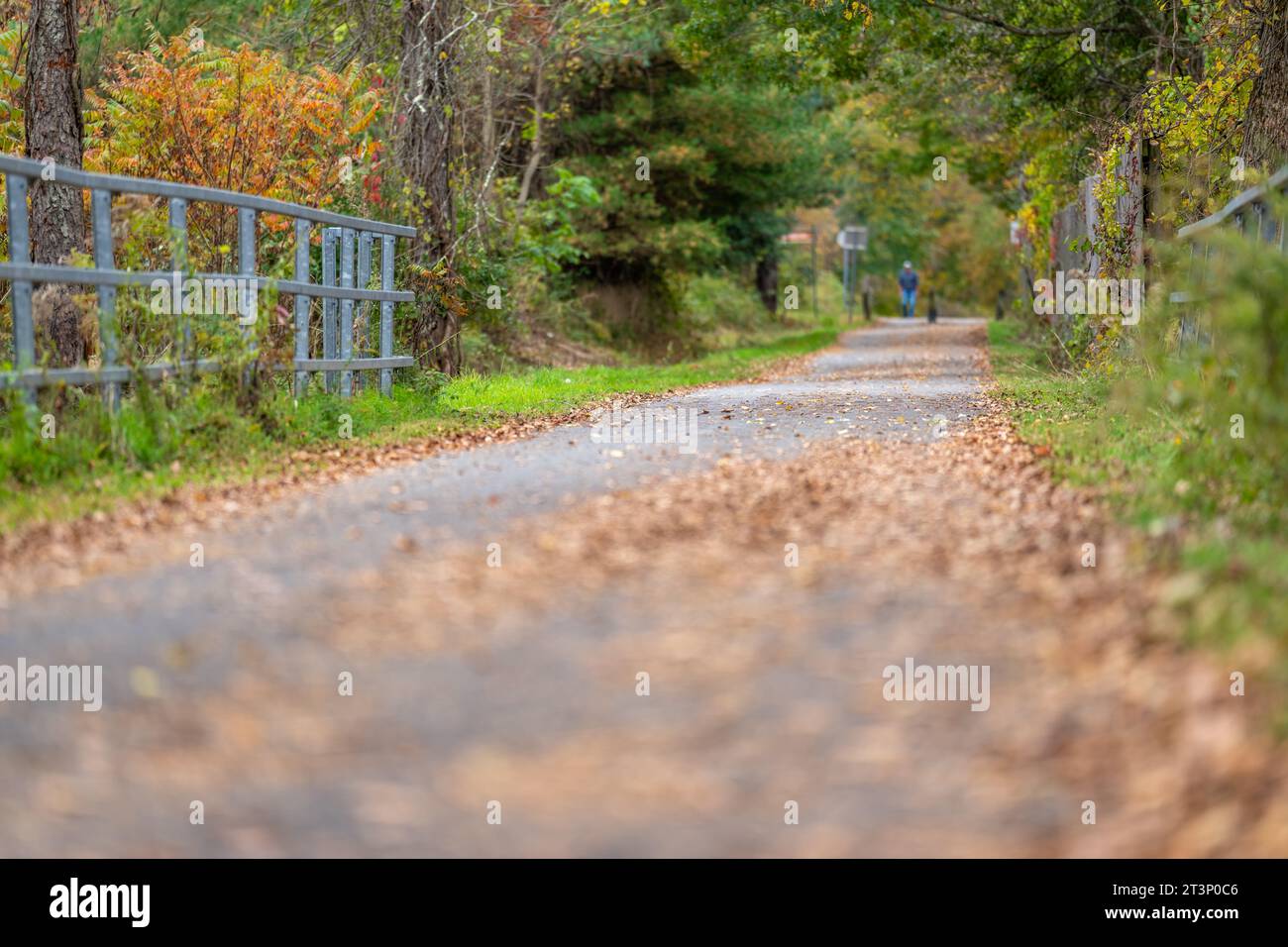 Fall, autumn, image of a long paved trail extending in the distance ...