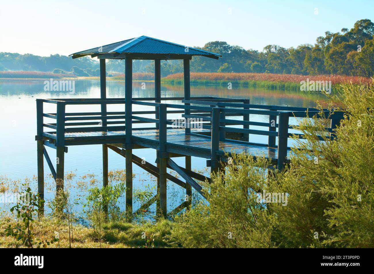 The boardwalk and lookout at the urban wetland Lake Gwelup on a damp ...