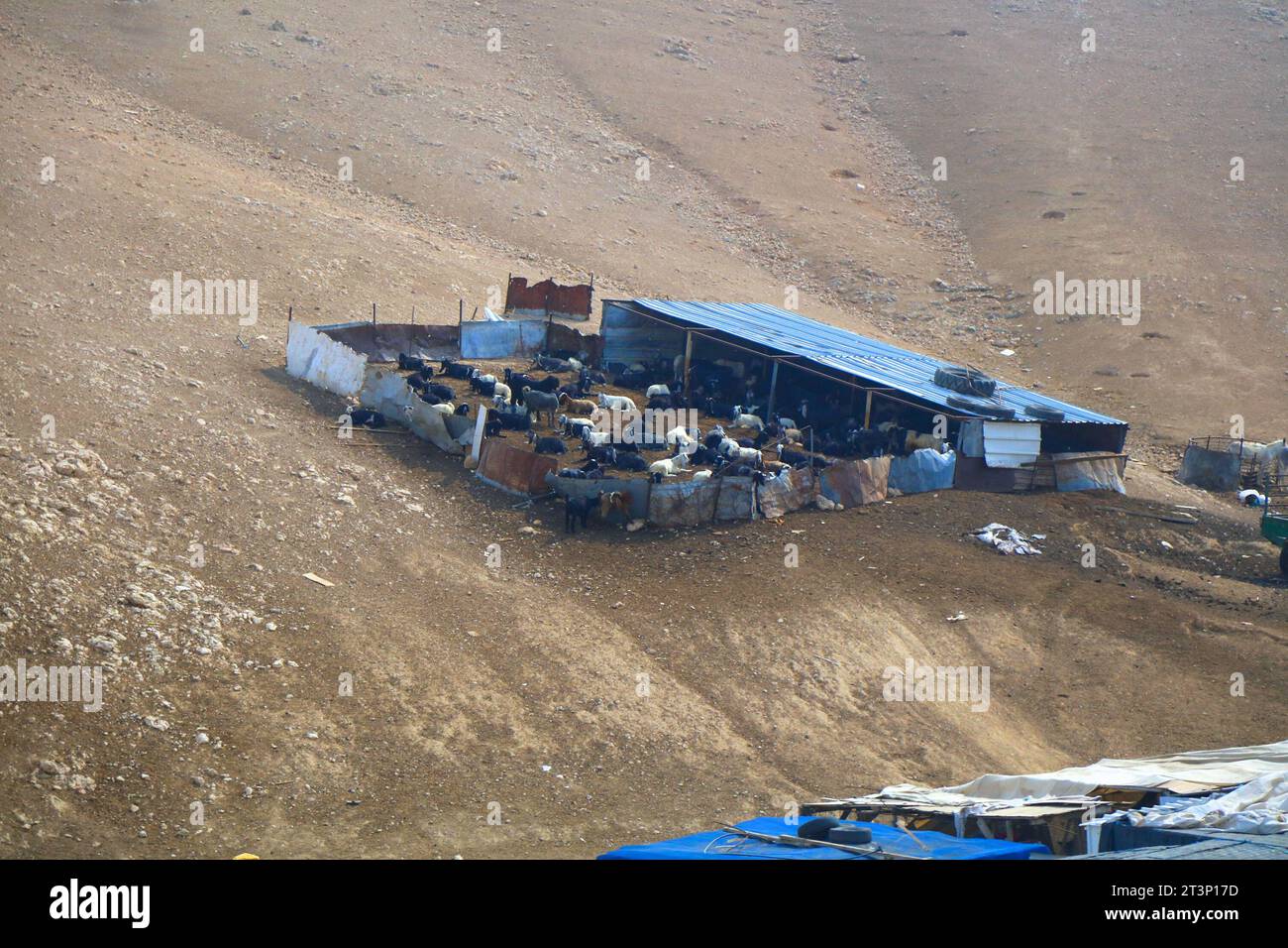 Poverty in Palestine. Makeshift shacks of a goat shepherd village in ...