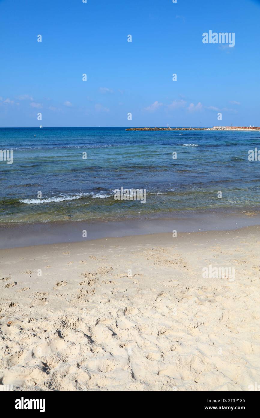 Metzitzim tel aviv hi-res stock photography and images - Alamy