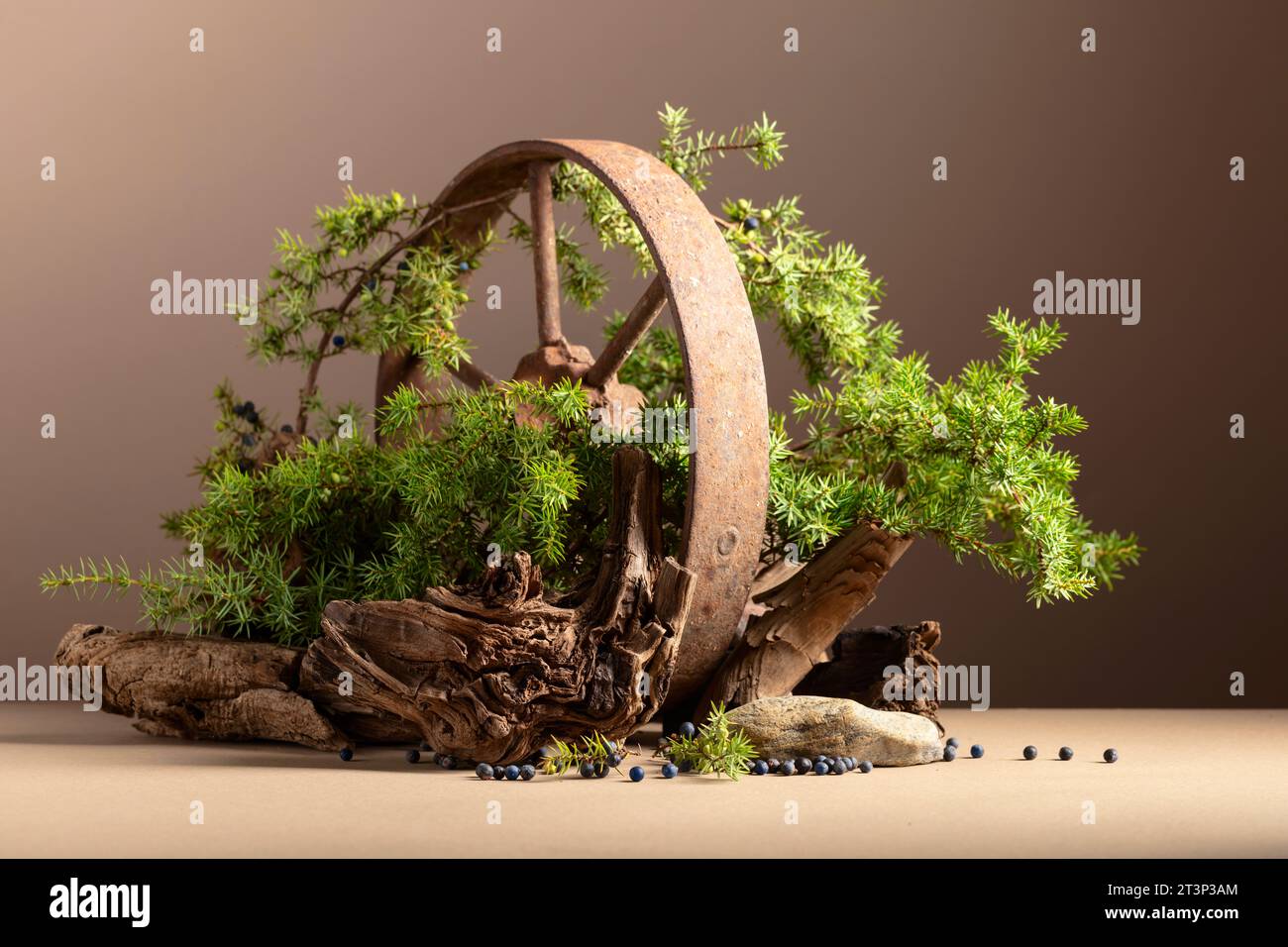 Abstract nature scene with a composition of rusty iron wheel, juniper ...