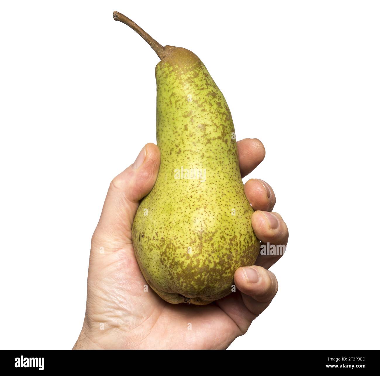 a pear held in one hand on a transparent background Stock Photo - Alamy