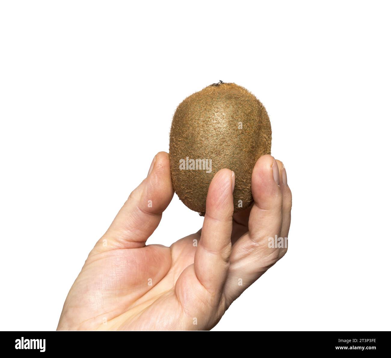 A kiwi held in a hand on a transparent background Stock Photo - Alamy