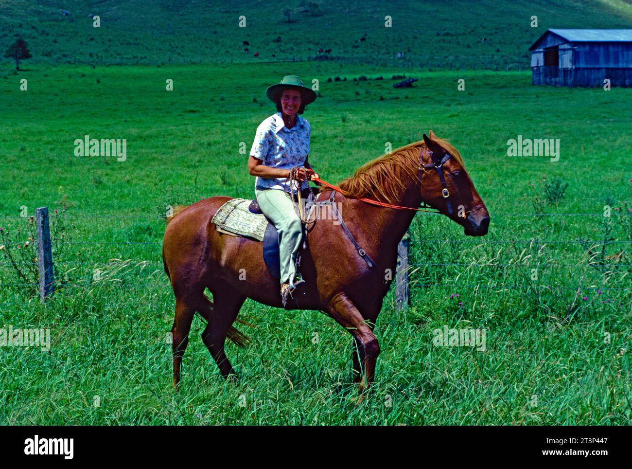 Australia. New South Wales. Farm. Woman on horseback Stock Photo - Alamy
